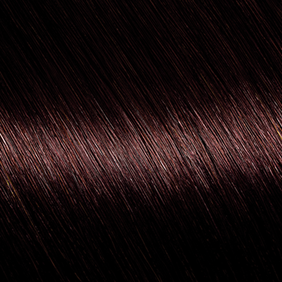 Ameixa 366 Castanho Escuro Avermelhado Intenso| Garnier