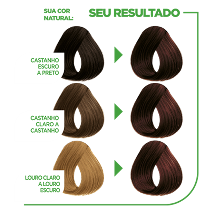 Ameixa 366 Castanho Escuro Avermelhado Intenso| Garnier